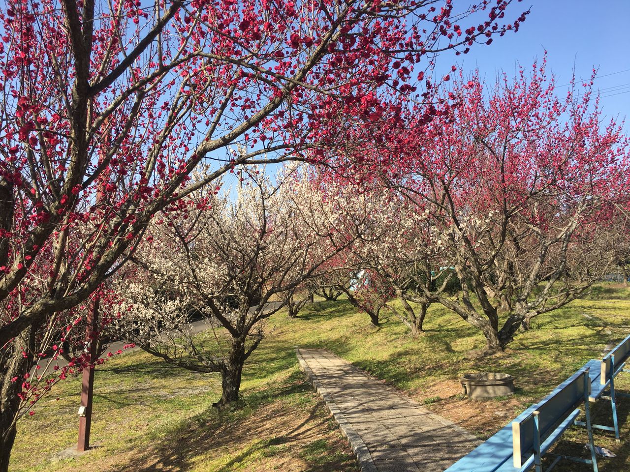 Sightseeing | Minabe Town Tourism Center
